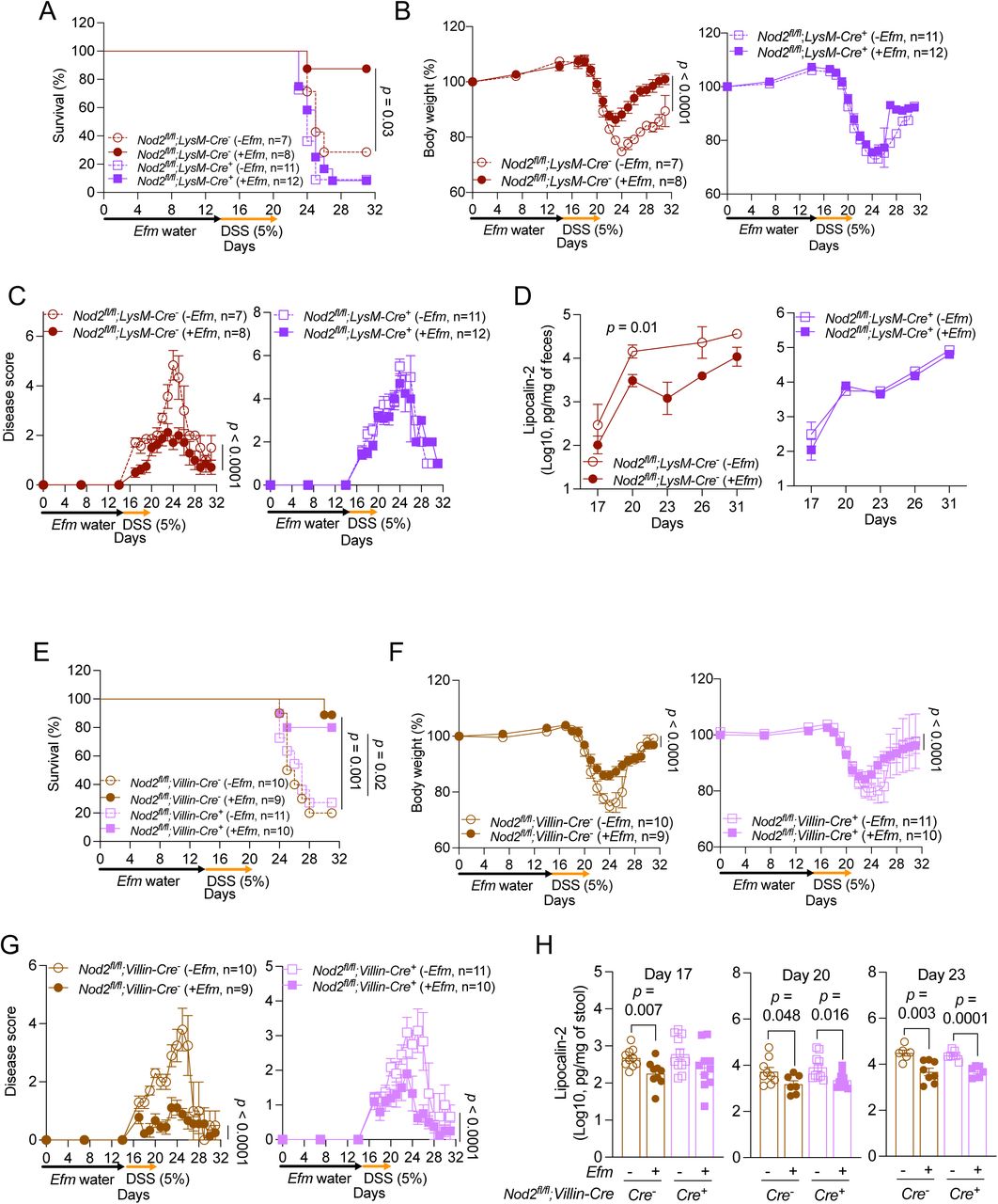 Villin Cre Mice | Jackson Laboratory | Bioz