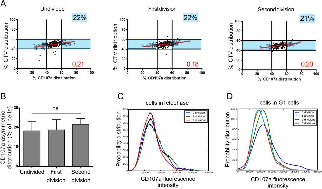 Sytox Orange Dead Cell Stain | Thermo Fisher | Bioz