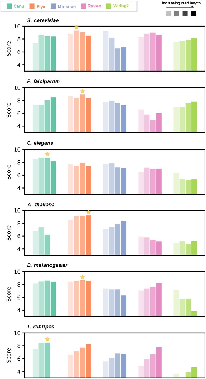 Pacbio Circular Consensus Sequencing | Oxford Nanopore | Bioz