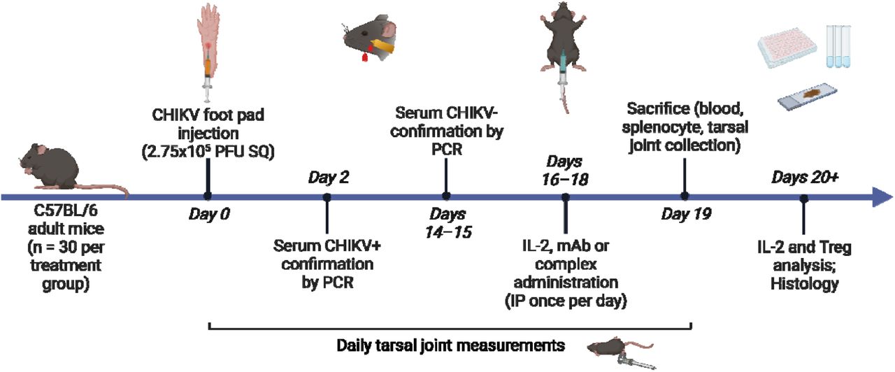 Jackson Laboratory C57Bl/6J at Peggy Bradley blog