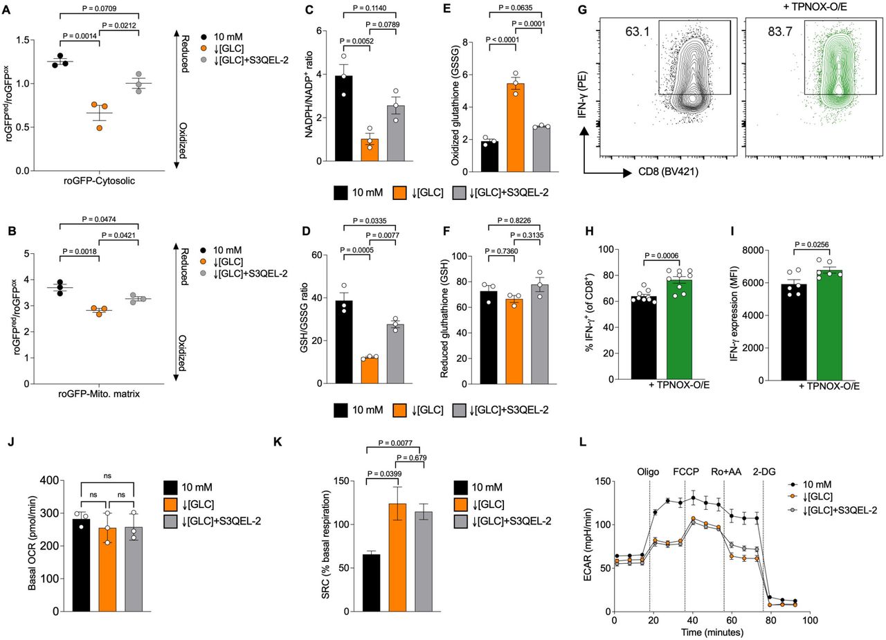 Nadp Nadph Glo Assay Kit | Promega | Bioz
