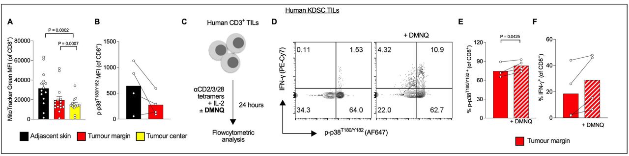 Cd3 28 | Thermo Fisher | Bioz