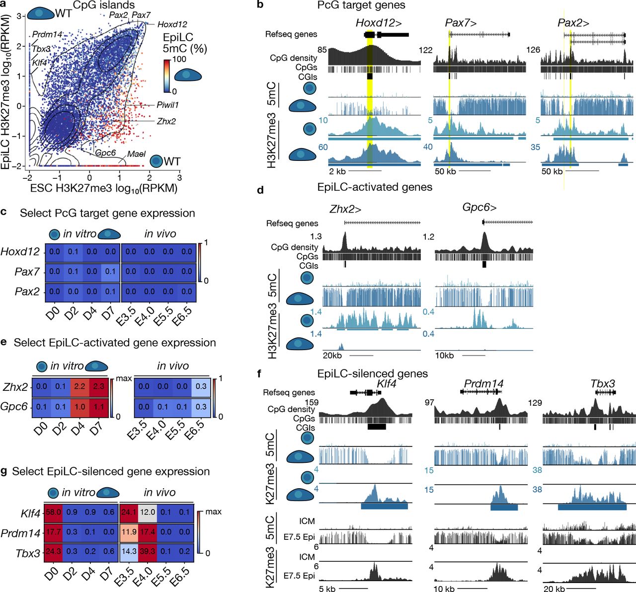 H3k27me3 | Cell Signaling Technology Inc | Bioz