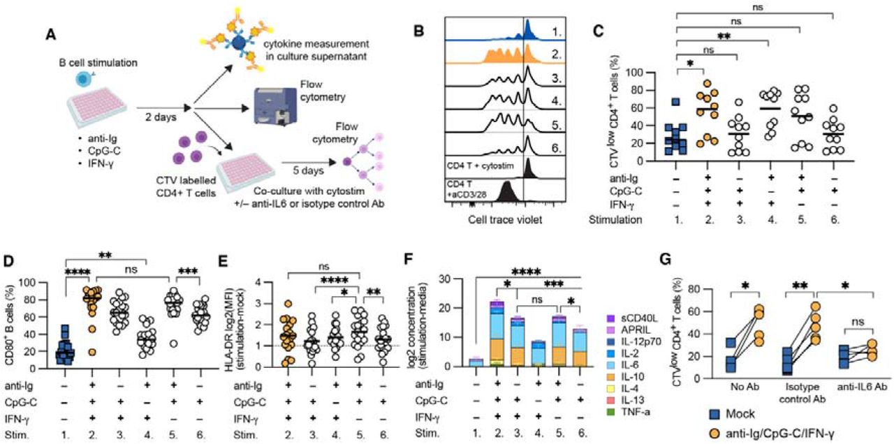 Rosettesep Human Cd4 T Cell Enrichment | Stemcell Technologies Inc | Bioz