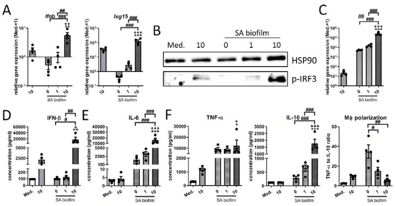 Raw 264 7 Macrophage Cell Line | ATCC | Bioz