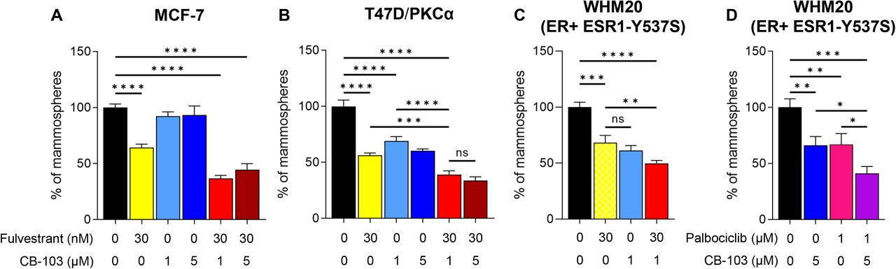 Human Breast Cancer Mcf 7 | ATCC | Bioz