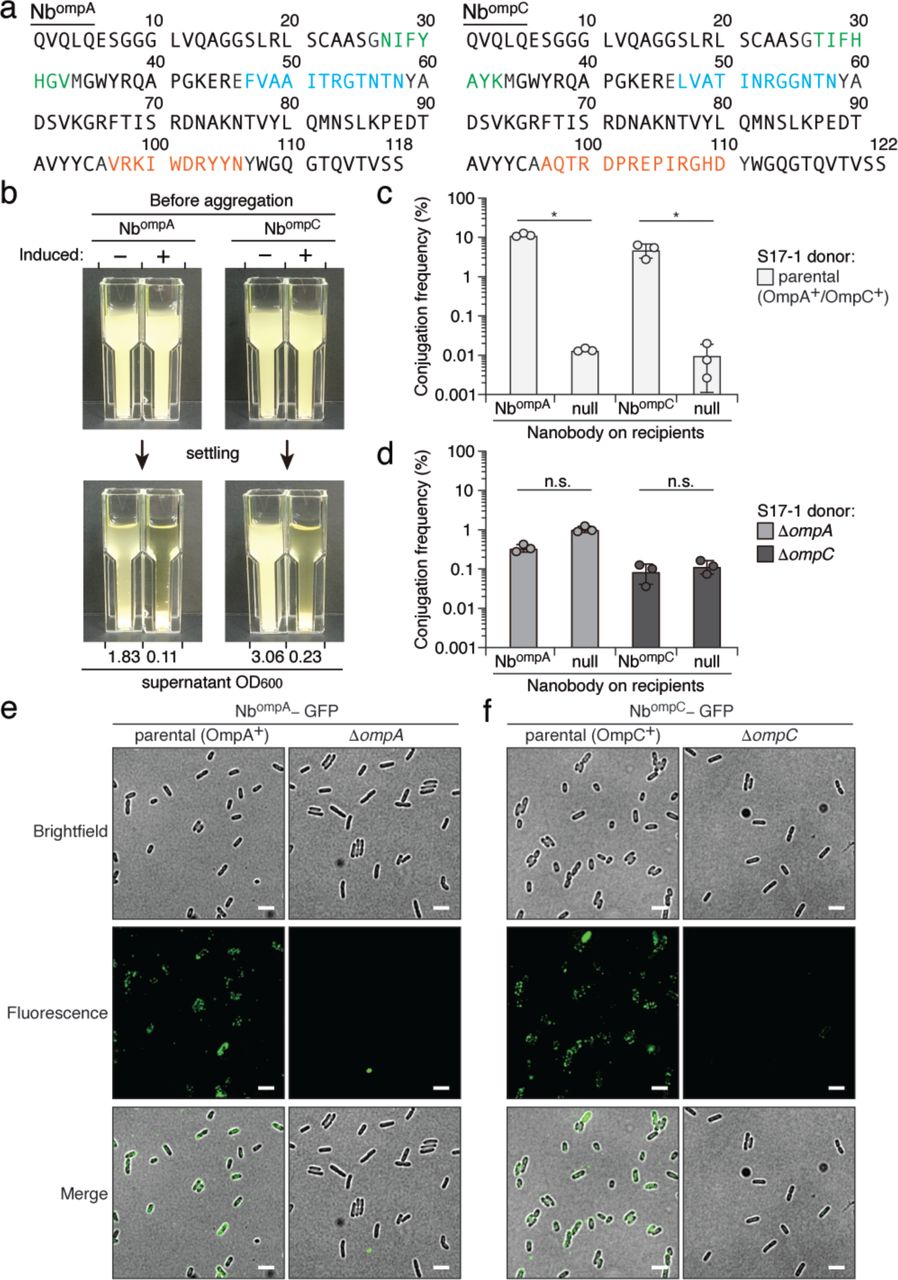 E Coli Strain S17 1 | ATCC | Bioz