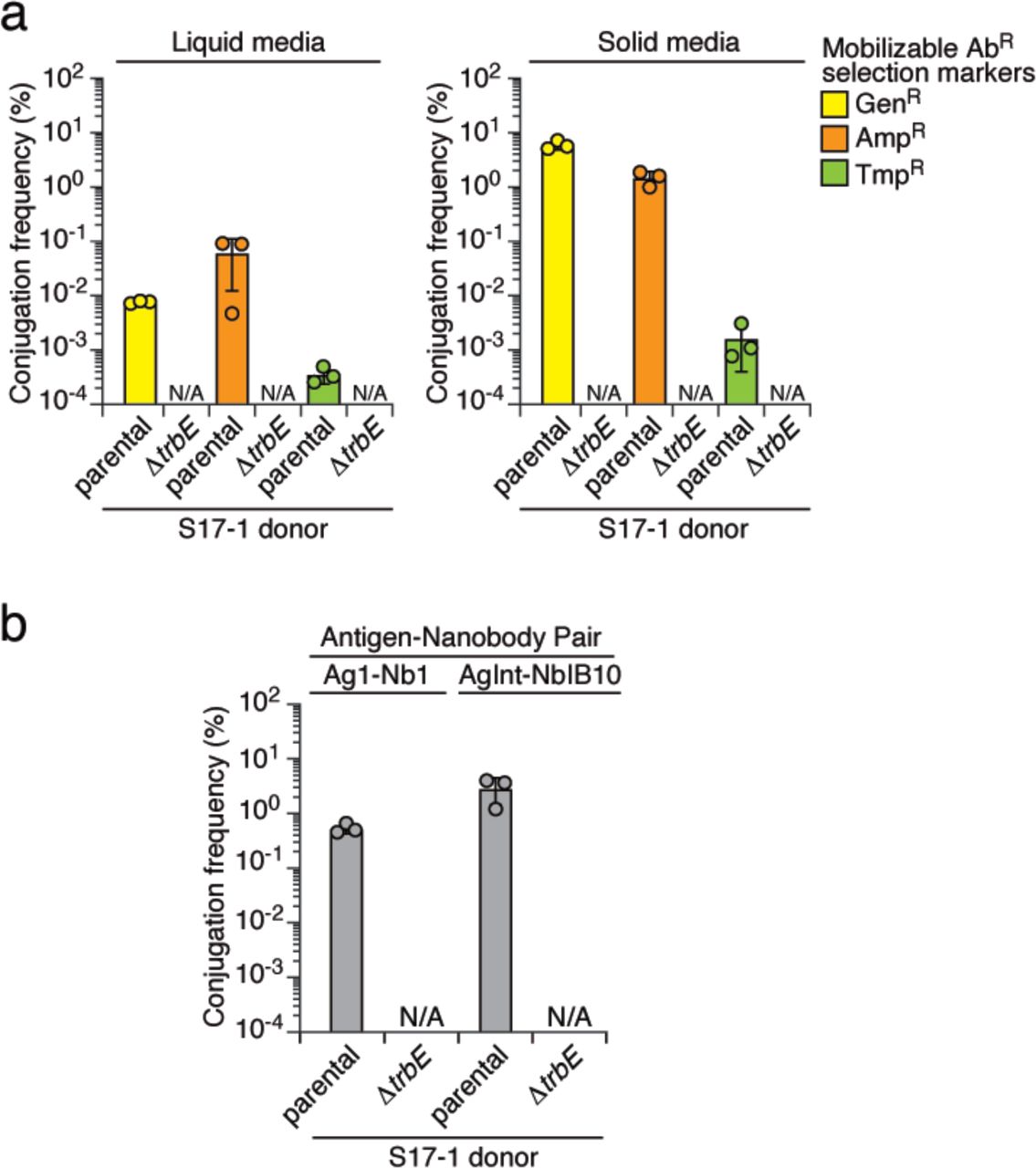 E Coli Strain S17 1 | ATCC | Bioz