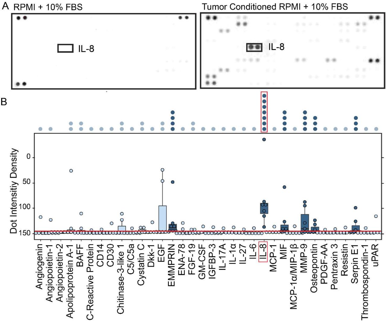 Proteome Profiler Assay Human Xl Cytokine Array Kit | R&D Systems | Bioz