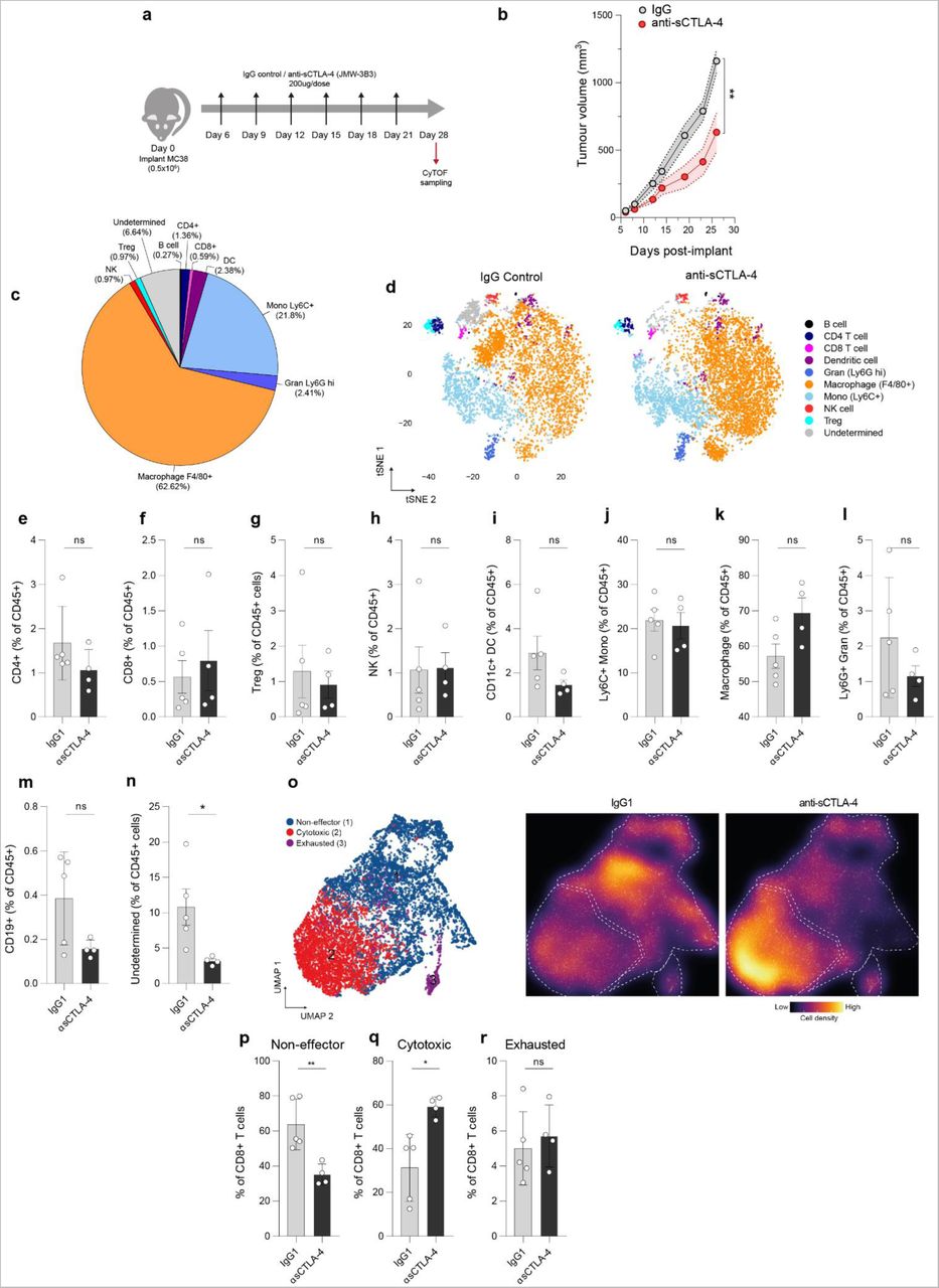 Mc38 Cell Line | ATCC | Bioz