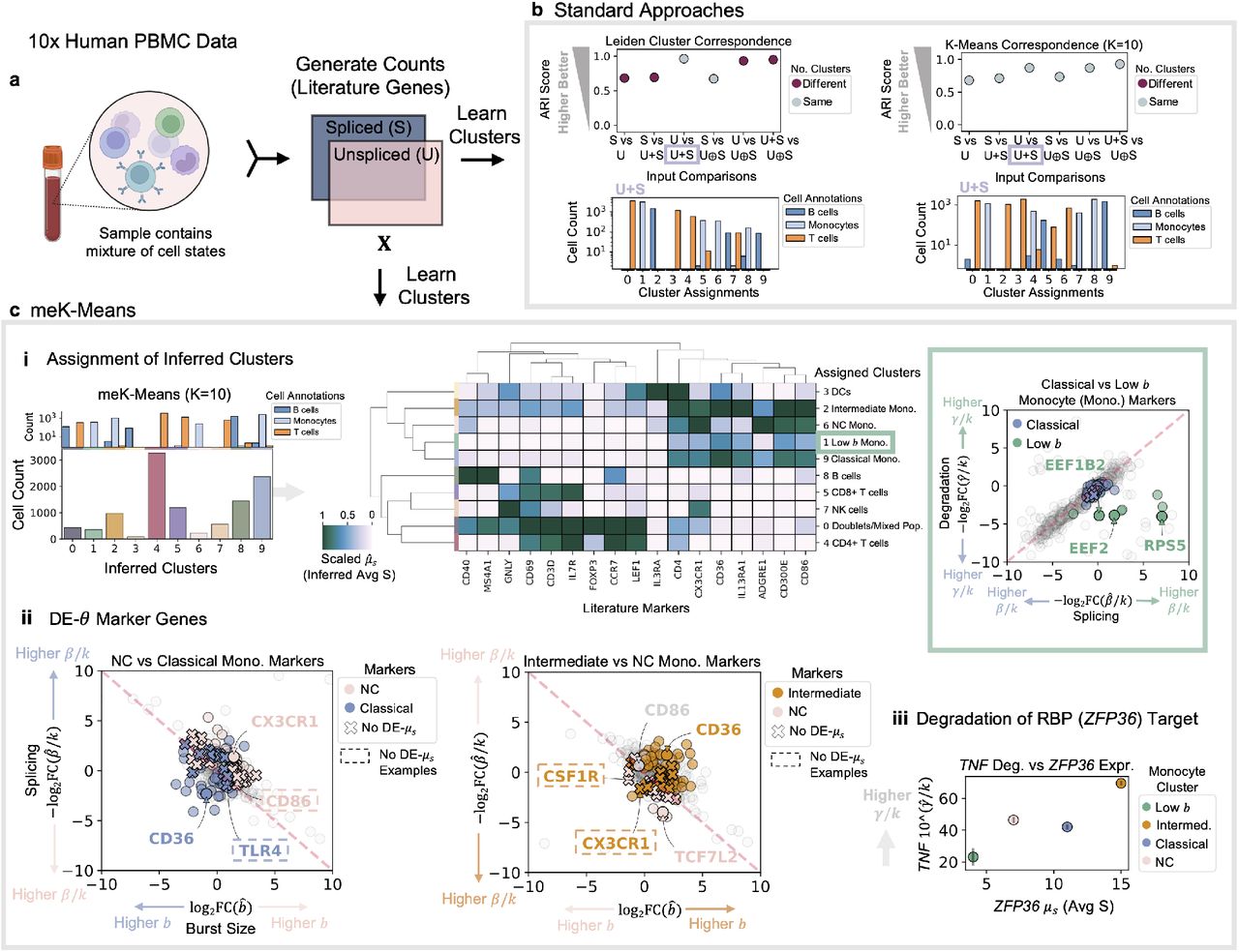 Blood Mononuclear Cell Pbmc Dataset | 10X Genomics | Bioz