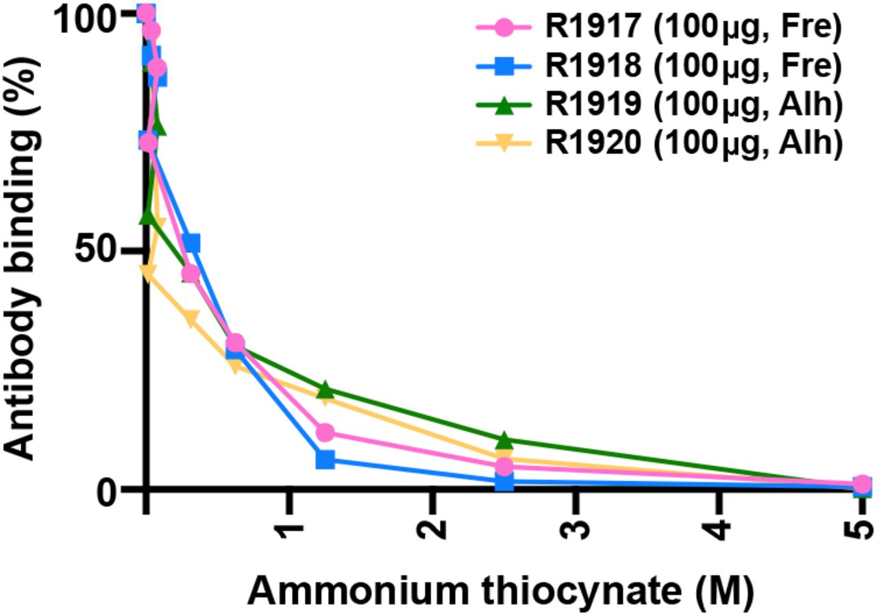 Sterile Alhydrogel Aluminium Hydroxide Vaccine Adjuvant | Brenntag | Bioz