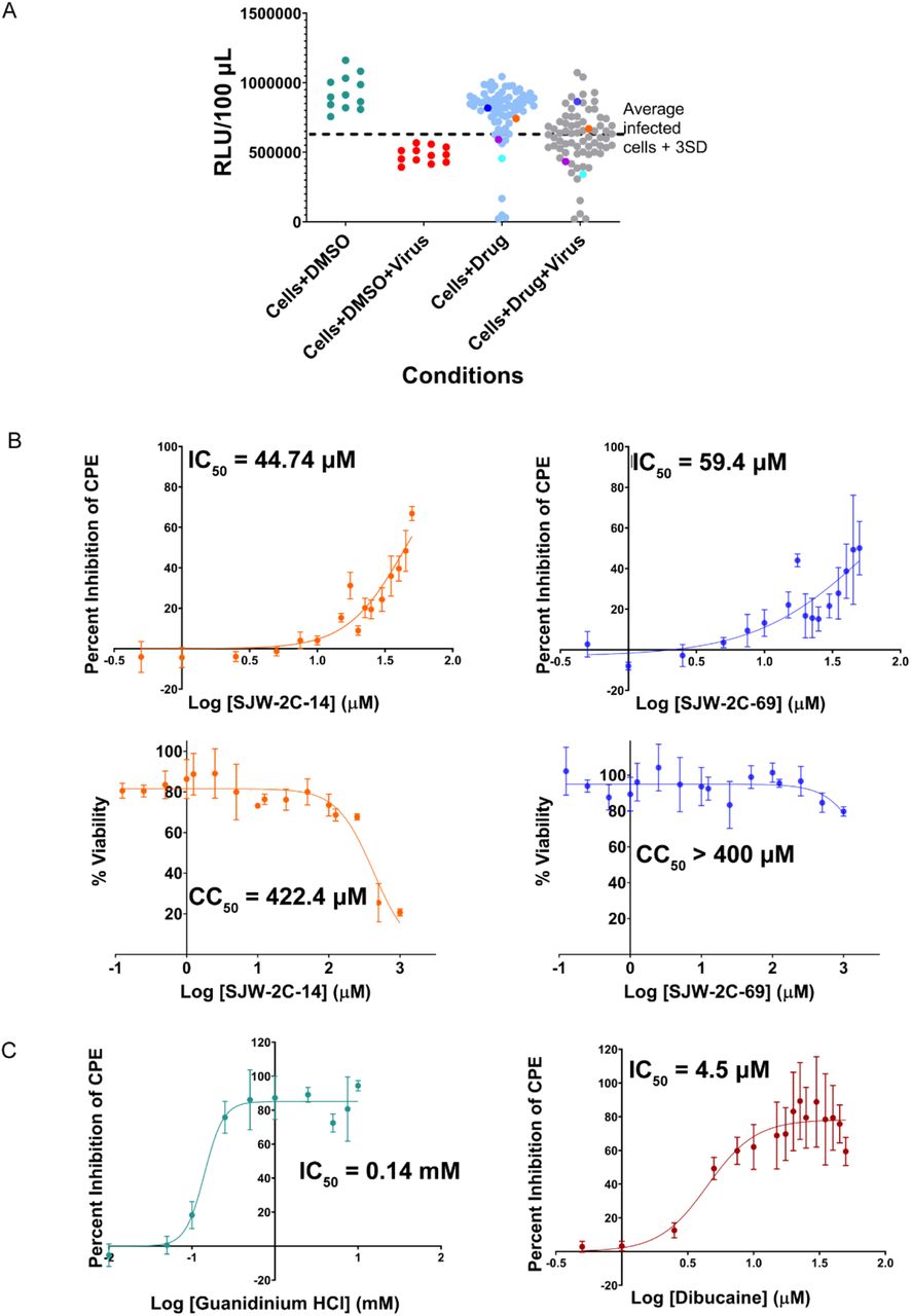 Ev A71 | ATCC | Bioz