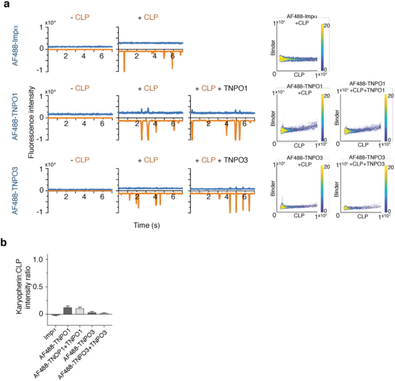 Alexa Fluor 488 C5 Maleimide | Thermo Fisher | Bioz