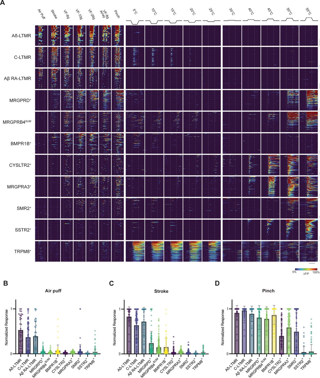 Von Frey Filaments | North Coast Medical | Bioz