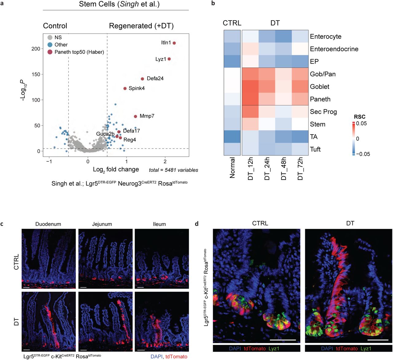 R26 Lsl Tdtomato Mice | The Jackson Laboratory | Bioz