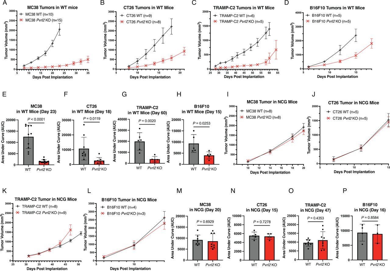 Tramp C2 | ATCC | Bioz