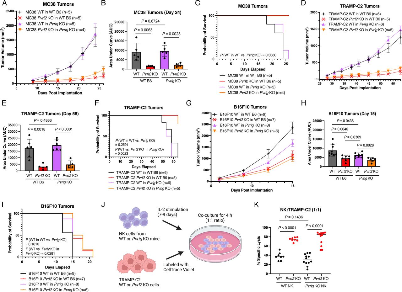 Tramp C2 | ATCC | Bioz