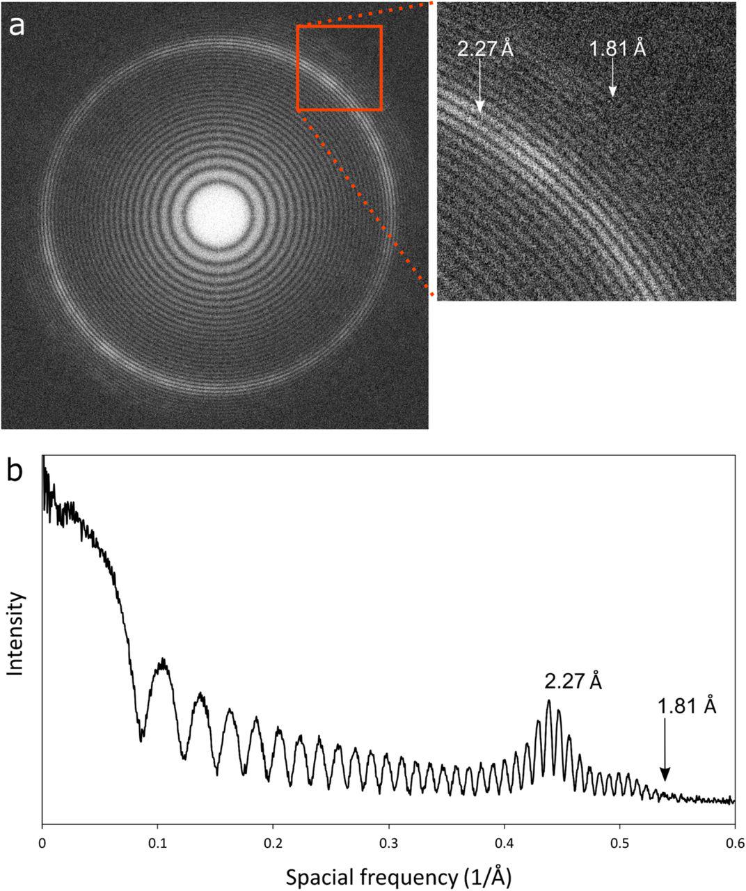 Mv Cryo Hvem | JEOL | Bioz