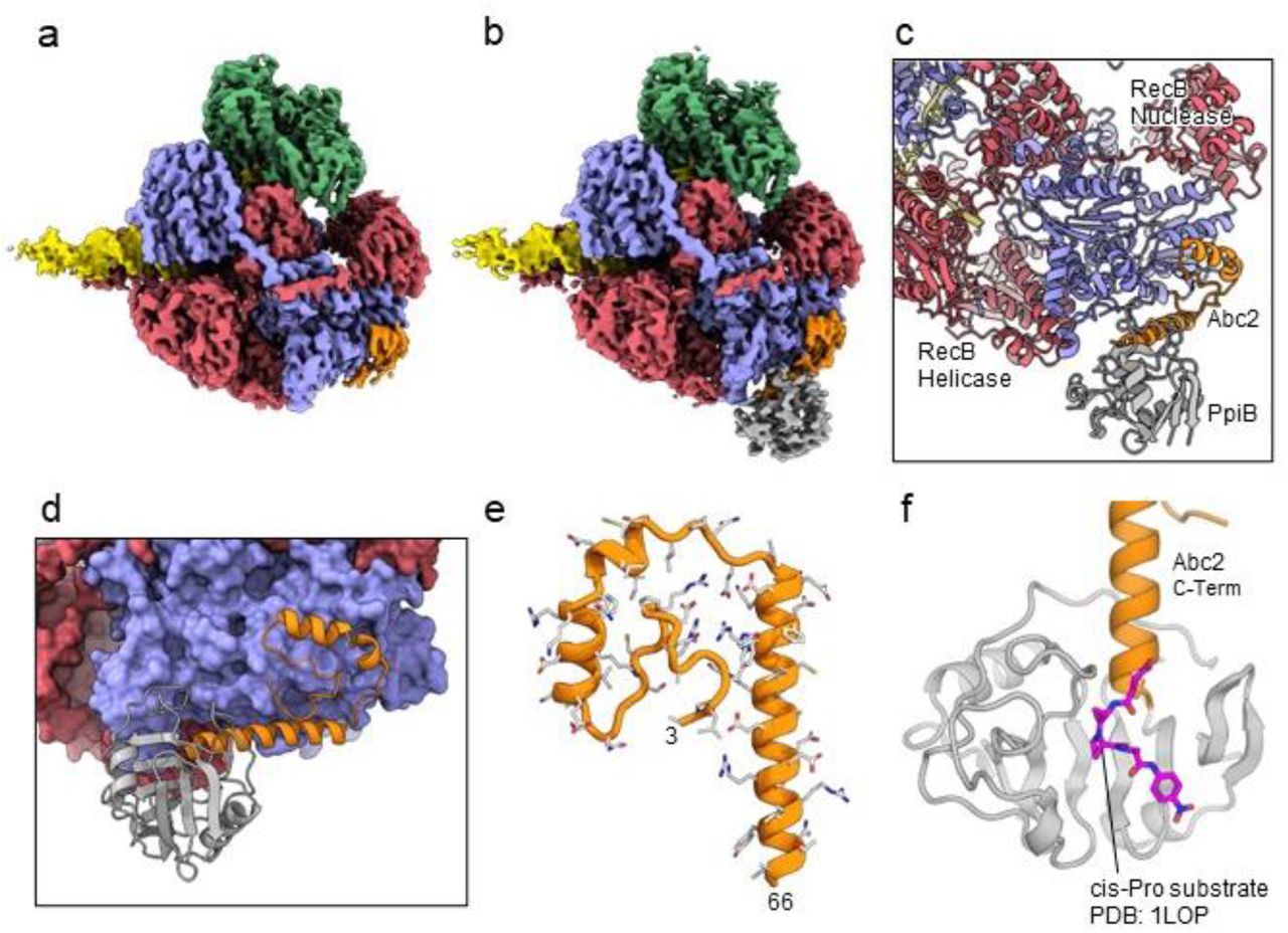 Recbcd Dna Complex | Thermo Fisher | Bioz