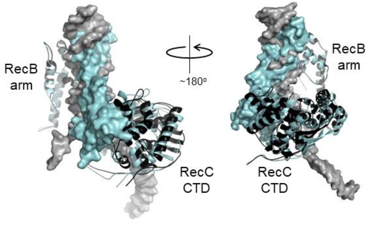 Recbcd Gp5 9 Complex | Thermo Fisher | Bioz