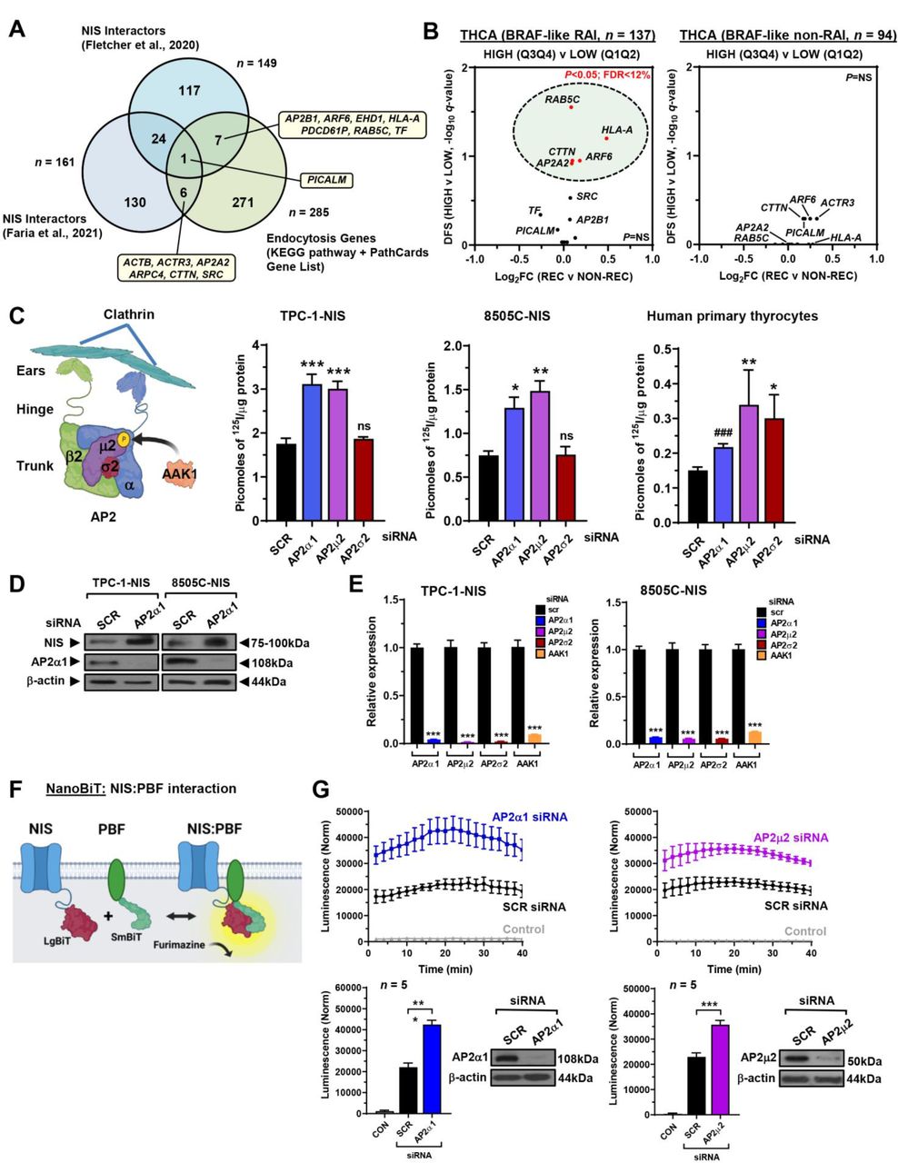 Furimazine | Promega | Bioz