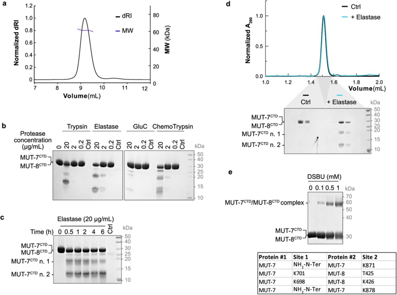 Superdex 75 Increase 10 300 | GE Healthcare | Bioz