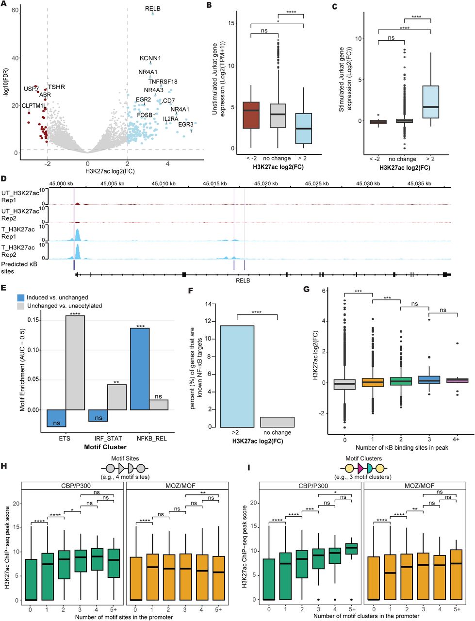 Jurkat | Thermo Fisher | Bioz