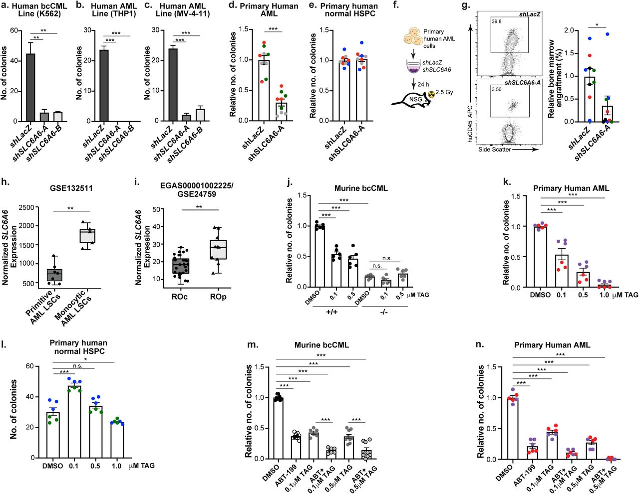 Human Leukemia Cell Lines K562 | ATCC | Bioz