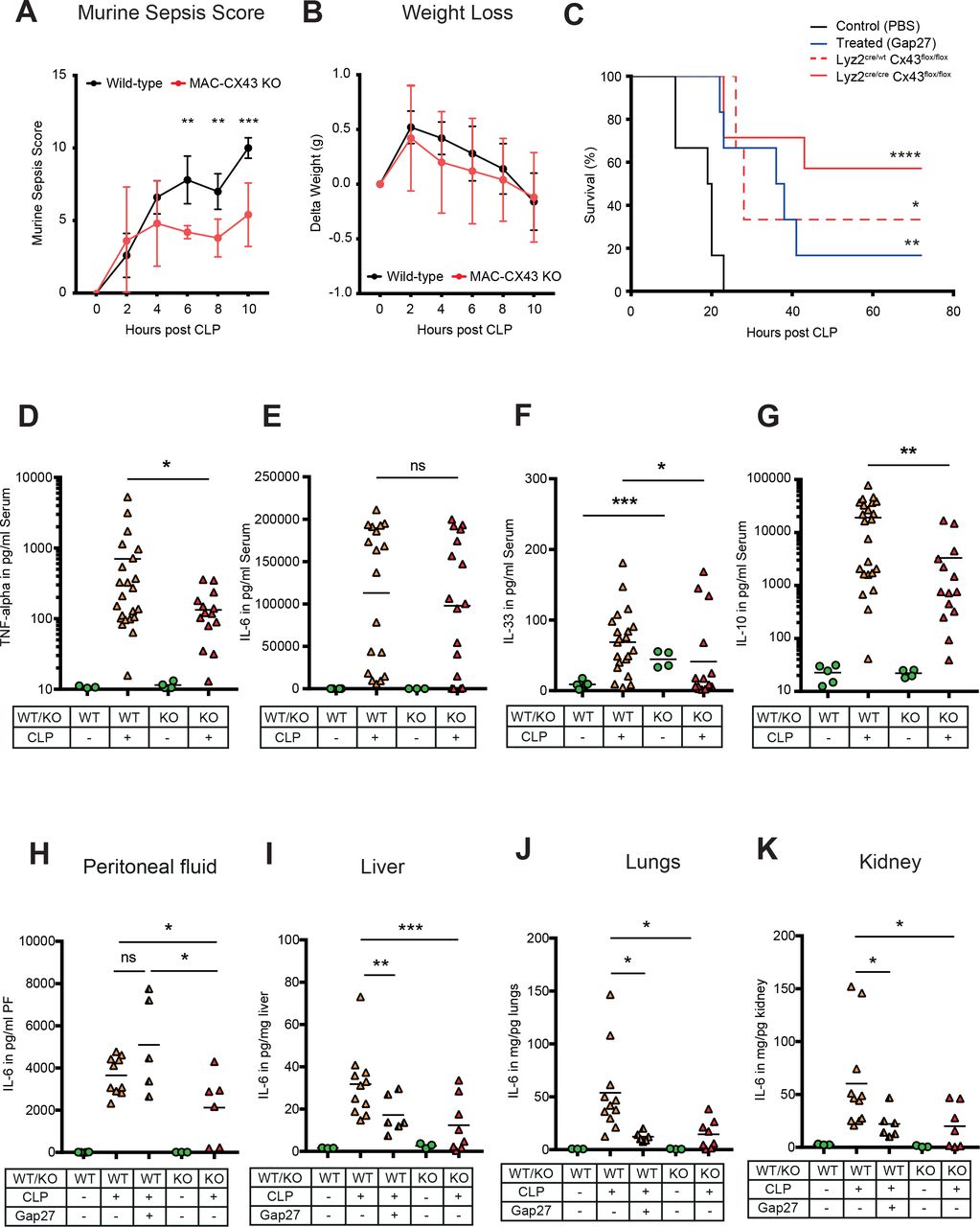 B6 129p2 Lyz2tm1 Cre Ifo J Mice | The Jackson Laboratory | Bioz