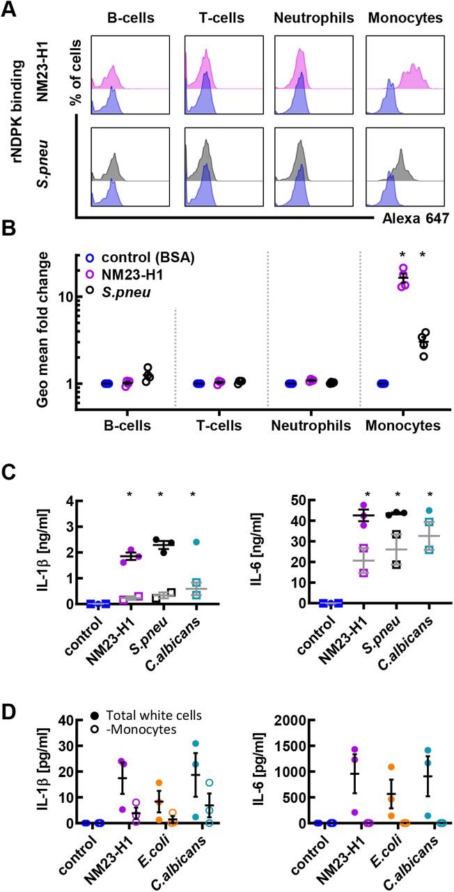 Human Cd14 Microbeads Ultrapure | Miltenyi Biotec | Bioz