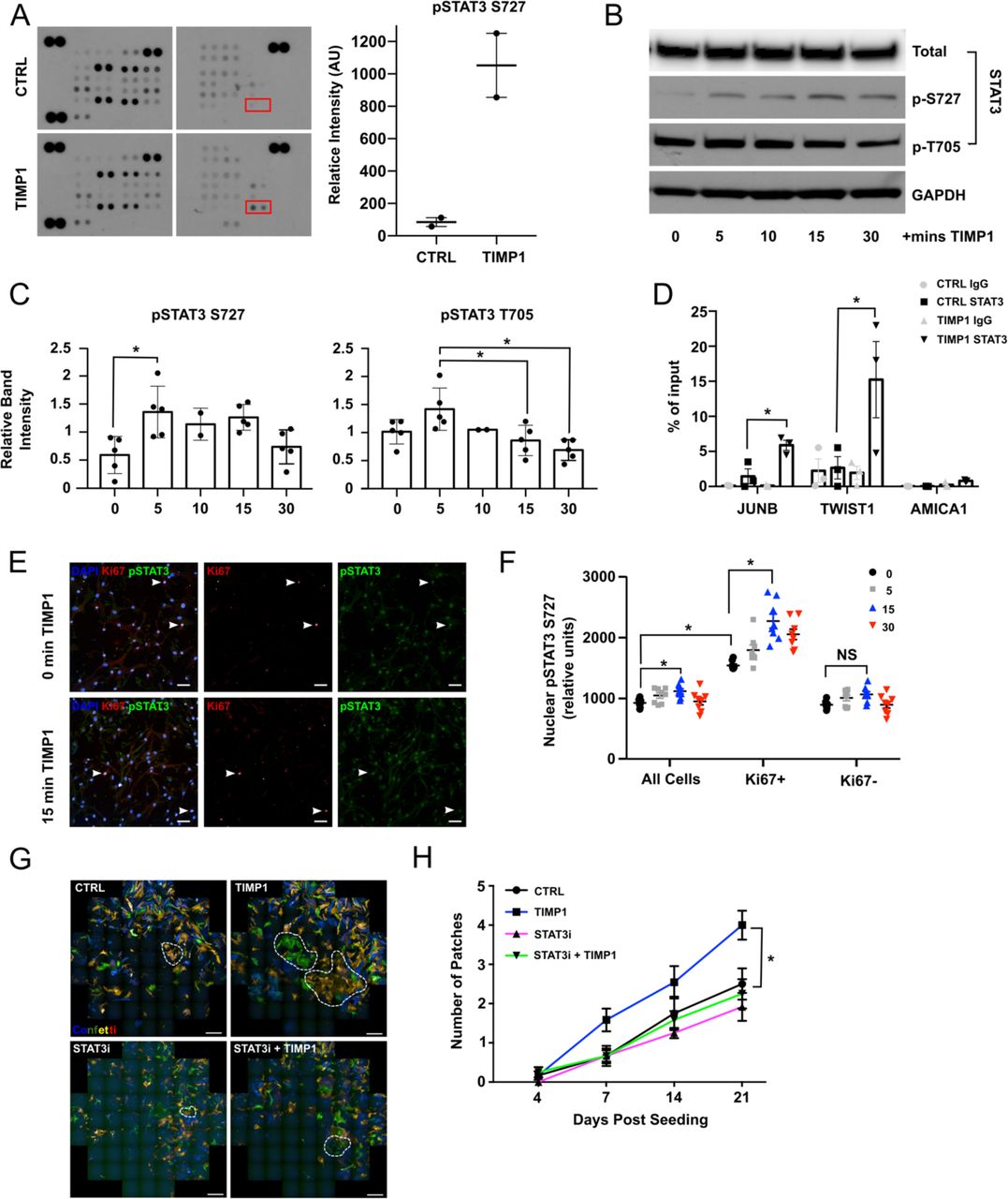 Immunostaining Cultured Cells | PerkinElmer | Bioz
