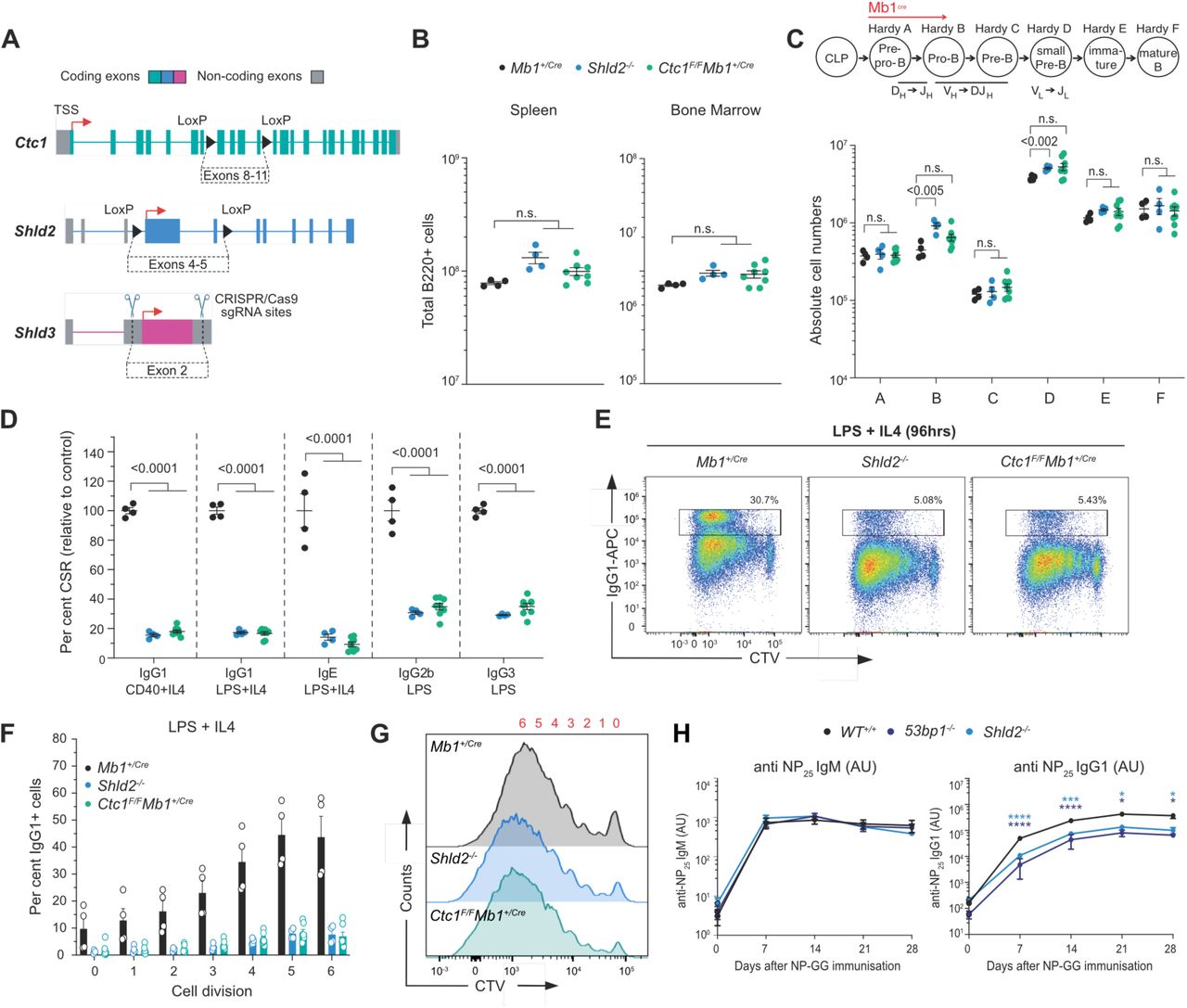 Mouse Recombinant Il 4 | PeproTech | Bioz