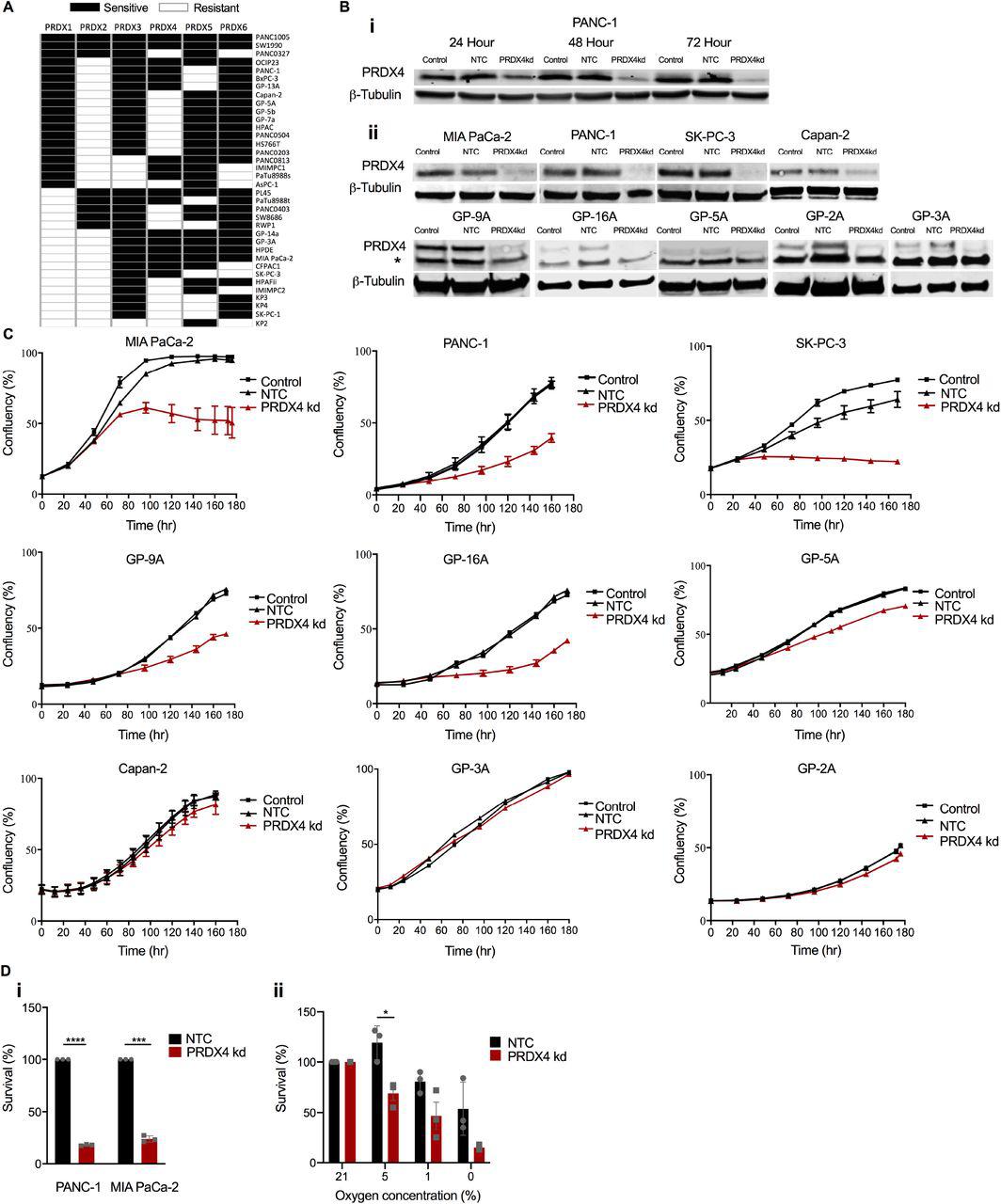 Reverse Transfection Procedure | Thermo Fisher | Bioz