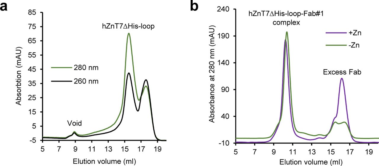 Superose 6 Increase 10 300 Gel Filtration Column | GE Healthcare | Bioz