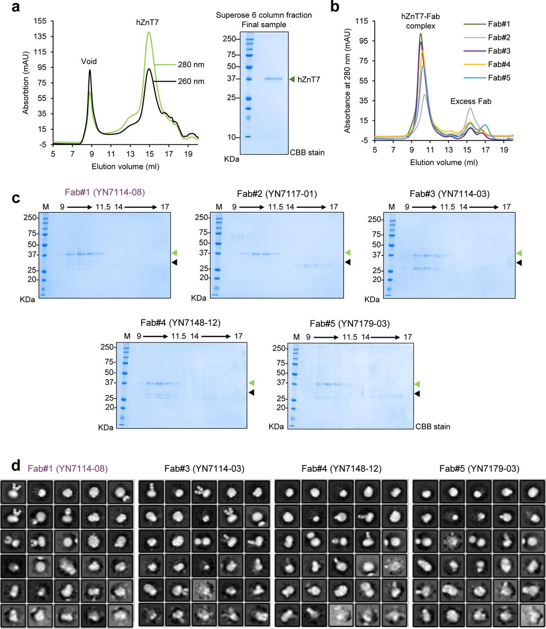 Superose 6 Increase 10 300 Gel Filtration Column | GE Healthcare | Bioz