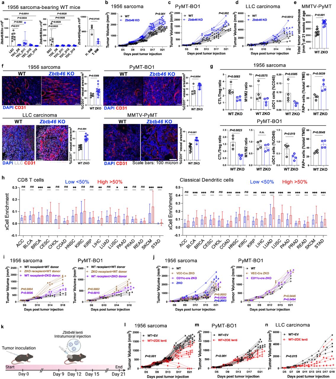 Cd31 | Becton Dickinson | Bioz