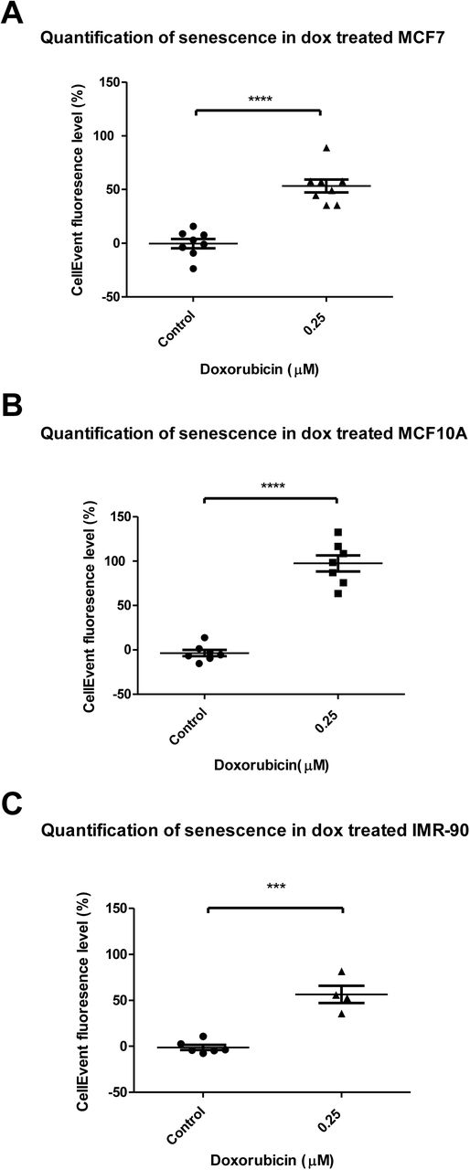 Cellevent Senescence Green Flow Cytometry Assay Kit | Thermo Fisher | Bioz