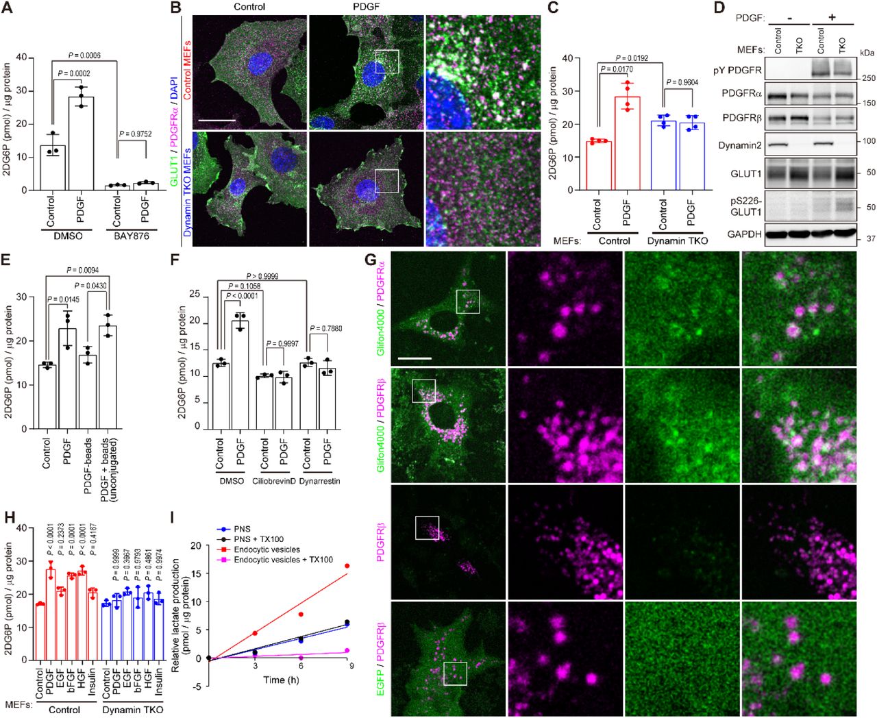 Human Recombinant Pdgf A | PeproTech | Bioz