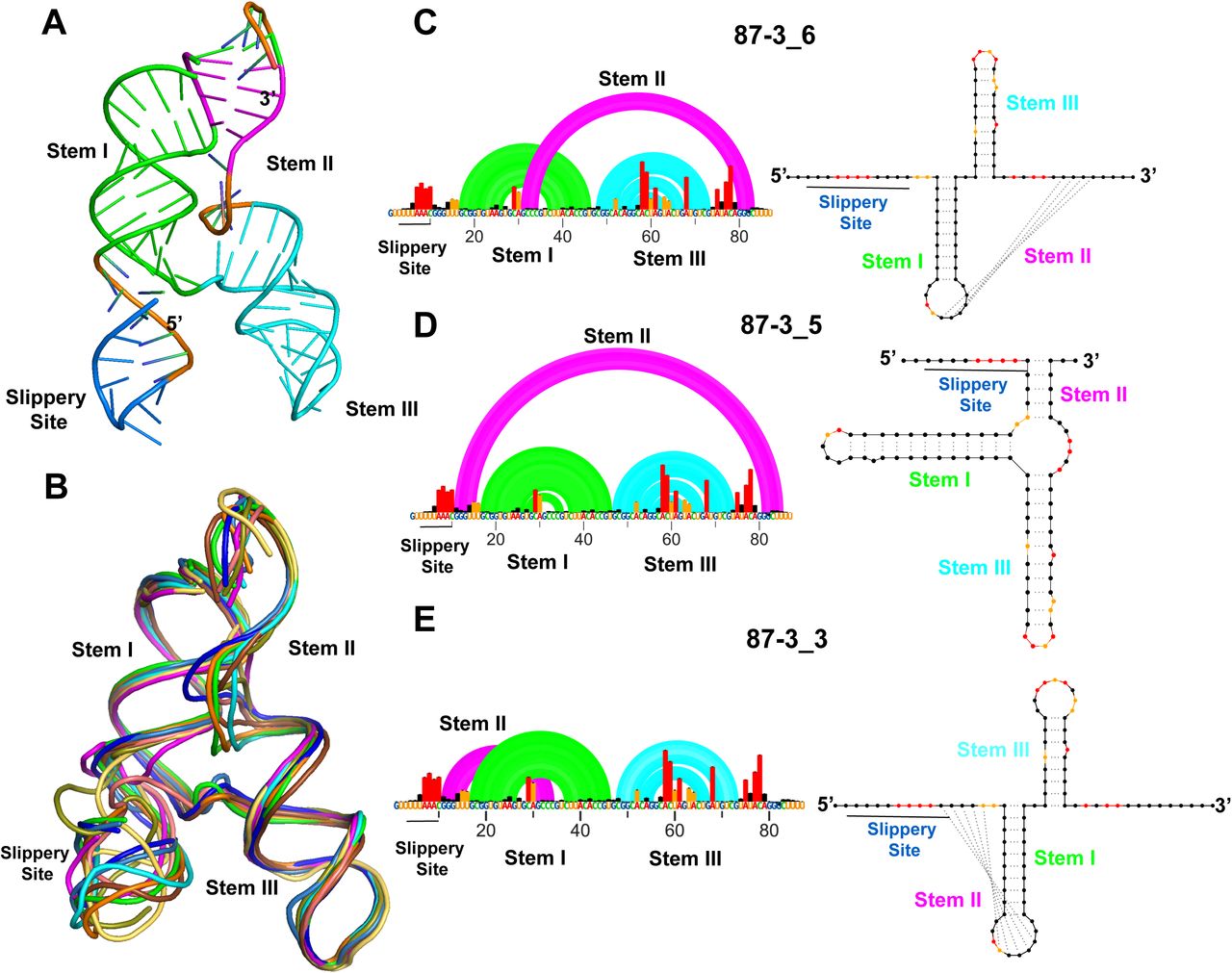 Sars Cov 2 Integrated Dna Technologies Bioz