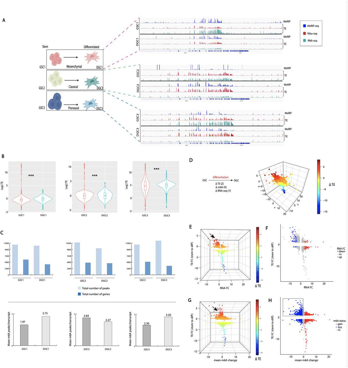 Magna Merip M6a Kit | Thermo Fisher | Bioz