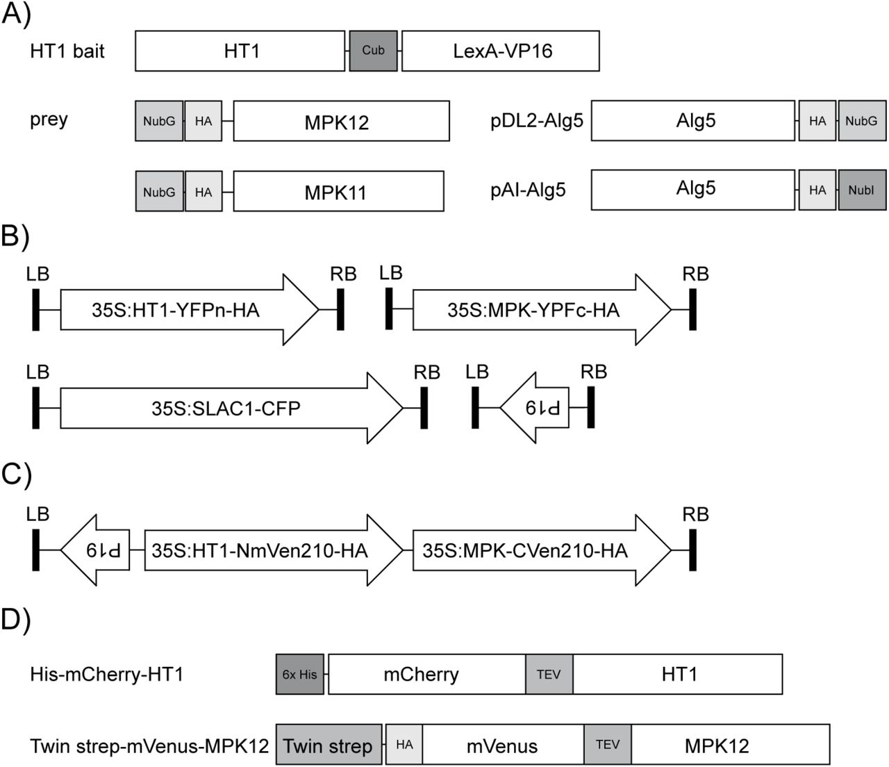 Split Ubiquitin Yeast | Dualsystems Biotech | Bioz