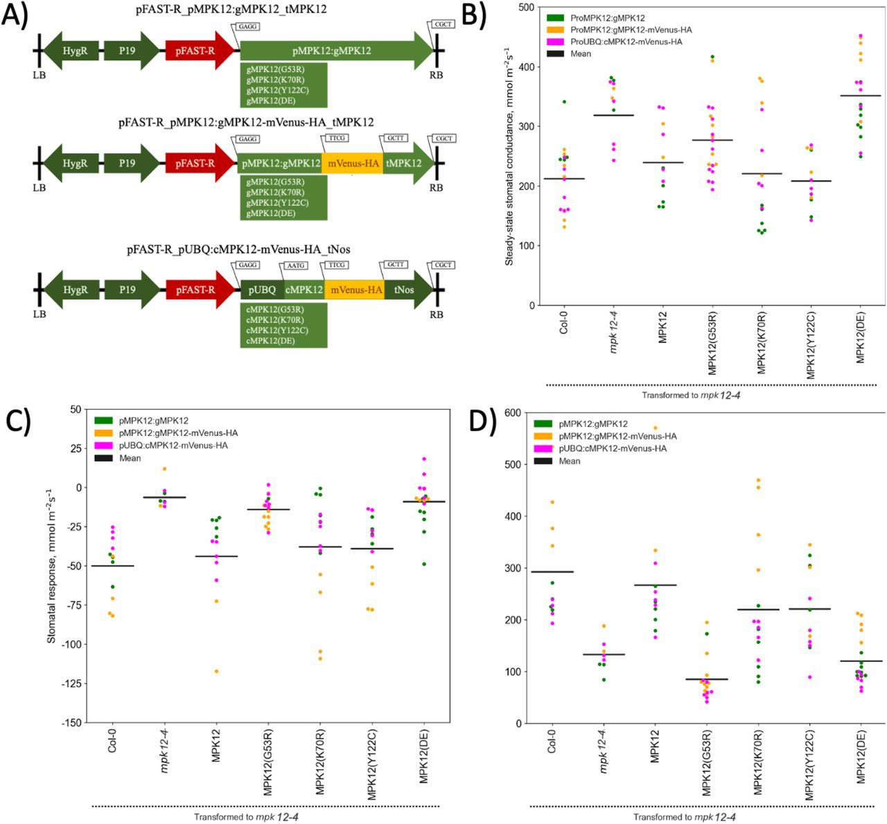 Split Ubiquitin Yeast | Dualsystems Biotech | Bioz