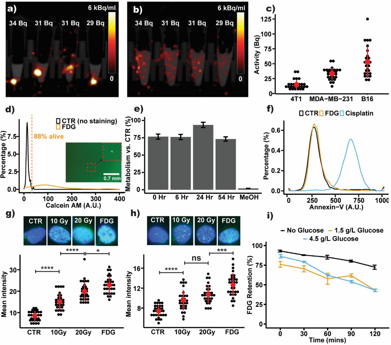 4t1 Cells | Thermo Fisher | Bioz