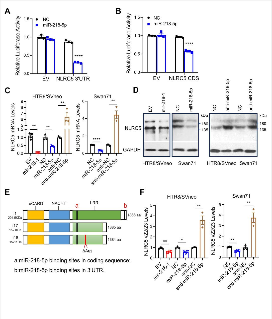 Pmir Report Luciferase Vectors | Thermo Fisher | Bioz