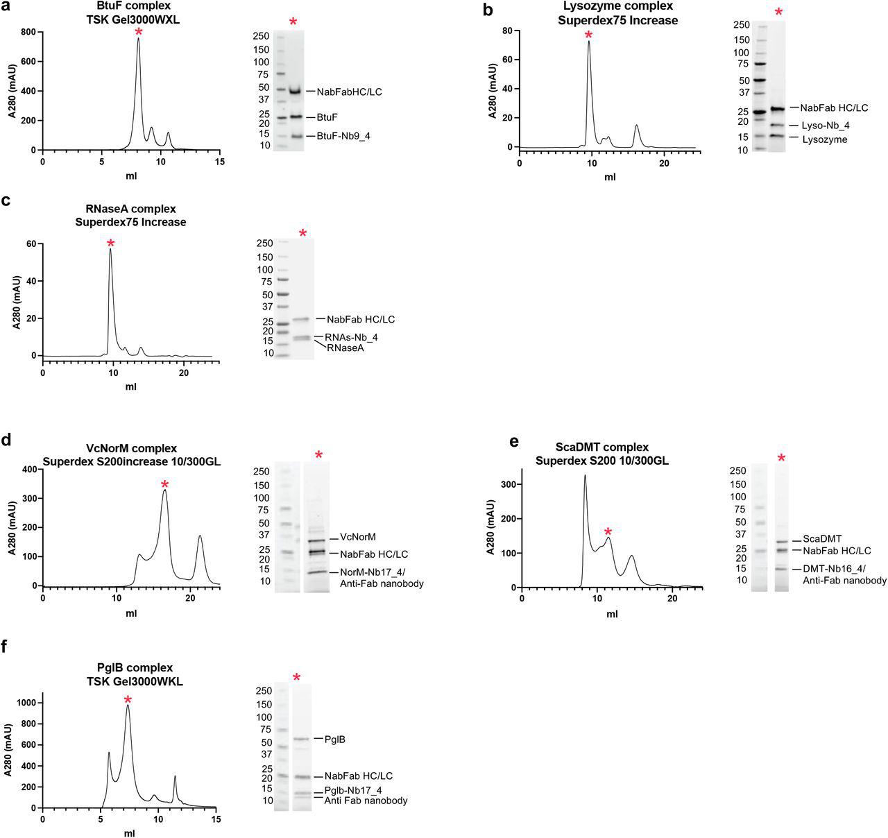 Anti Fab Nanobody | Thermo Fisher | Bioz