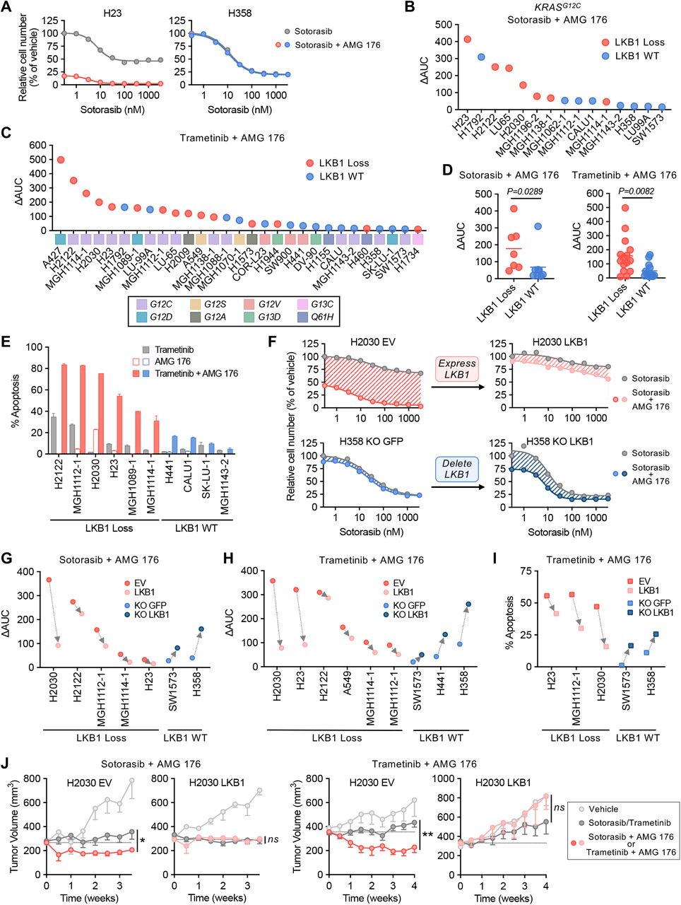 Kras Mutant Nsclc Cell Lines | Bio-Synthesis Inc | Bioz