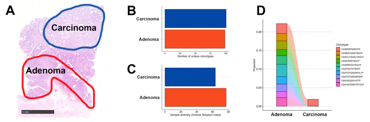 Allprep Dna Rna Ffpe Kit | Qiagen | Bioz