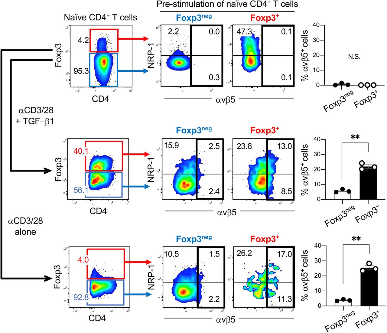 Anti Cd3 Cd28 Bead | Miltenyi Biotec | Bioz