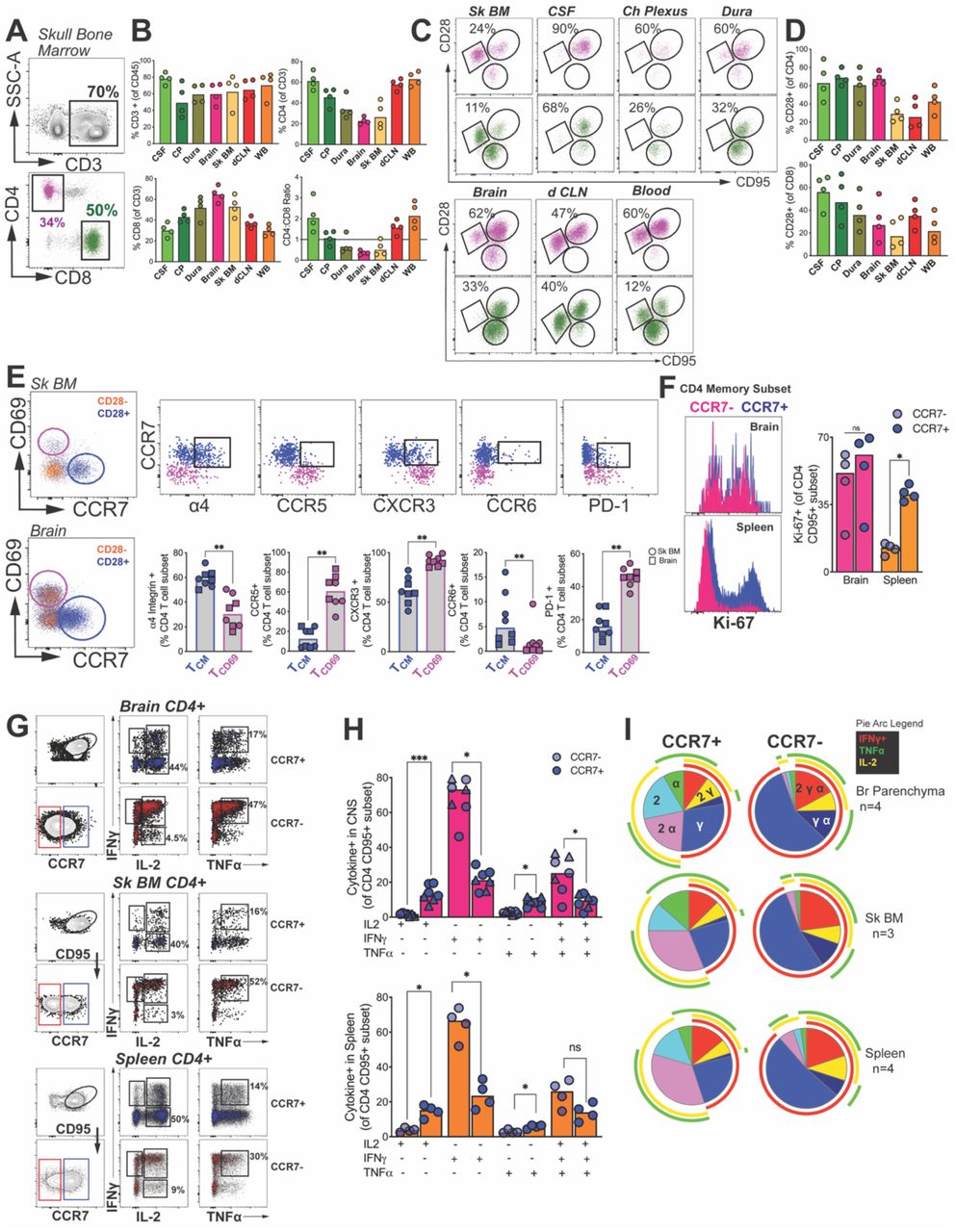 Rabbit Polyclonal Anti Cd3 Antibody | Agilent technologies | Bioz